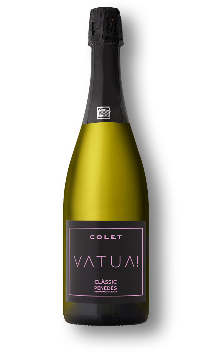 COLET VATUA! ROSE EXTRA BRUT – Angra Wine & Spirit